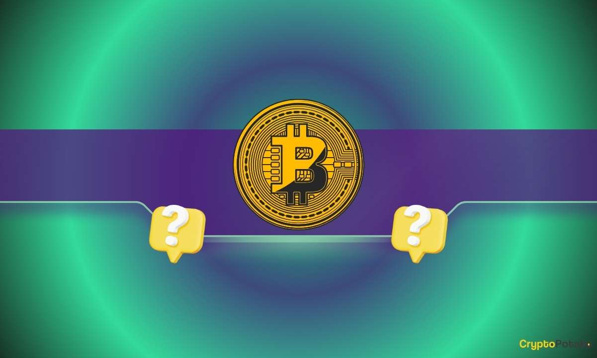 Three Reasons Why the Bitcoin (BTC) Price Could Hit a New ATH Before the End of 2024 | Token Radar